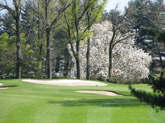 Golfing near Milan! - Golfy