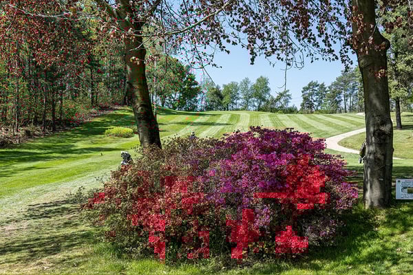 Duo of golf courses and half-board in Como - Golfy